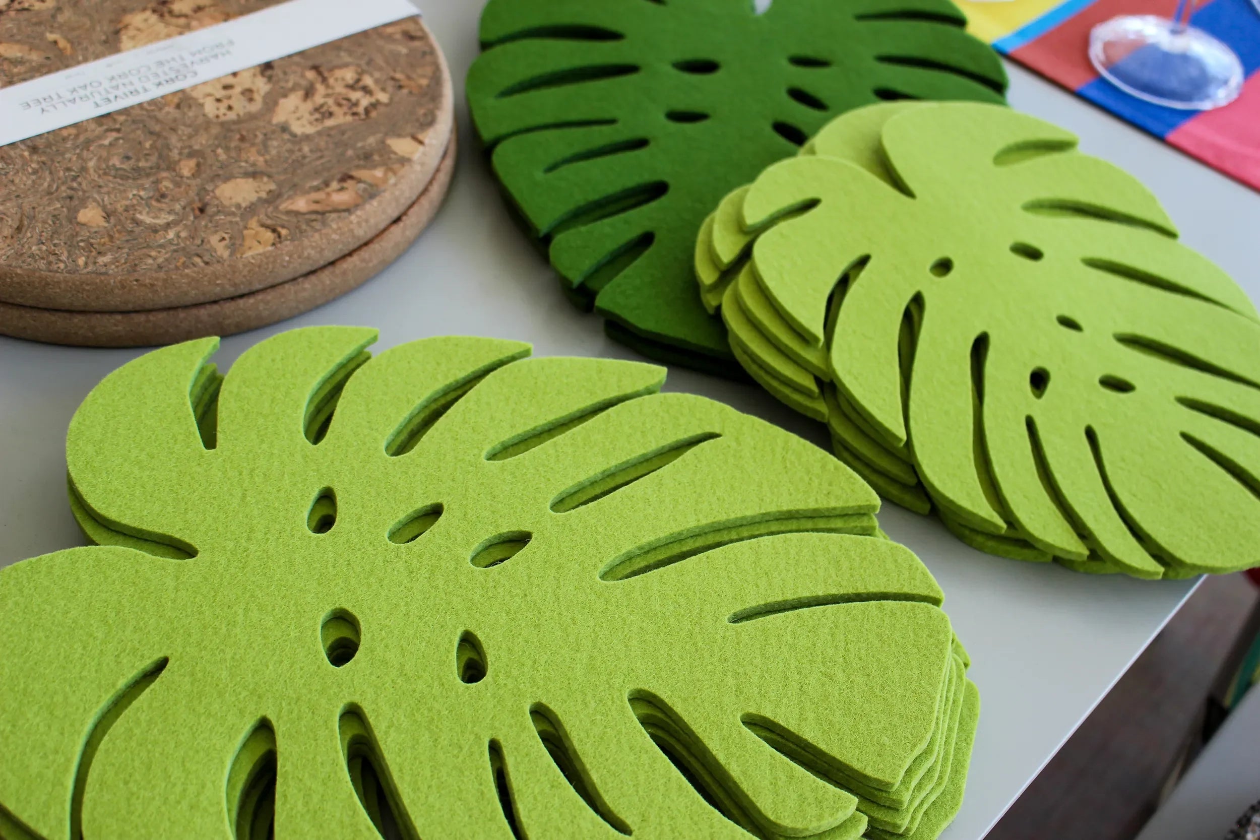 Coasters & Trivets – PHYLUM